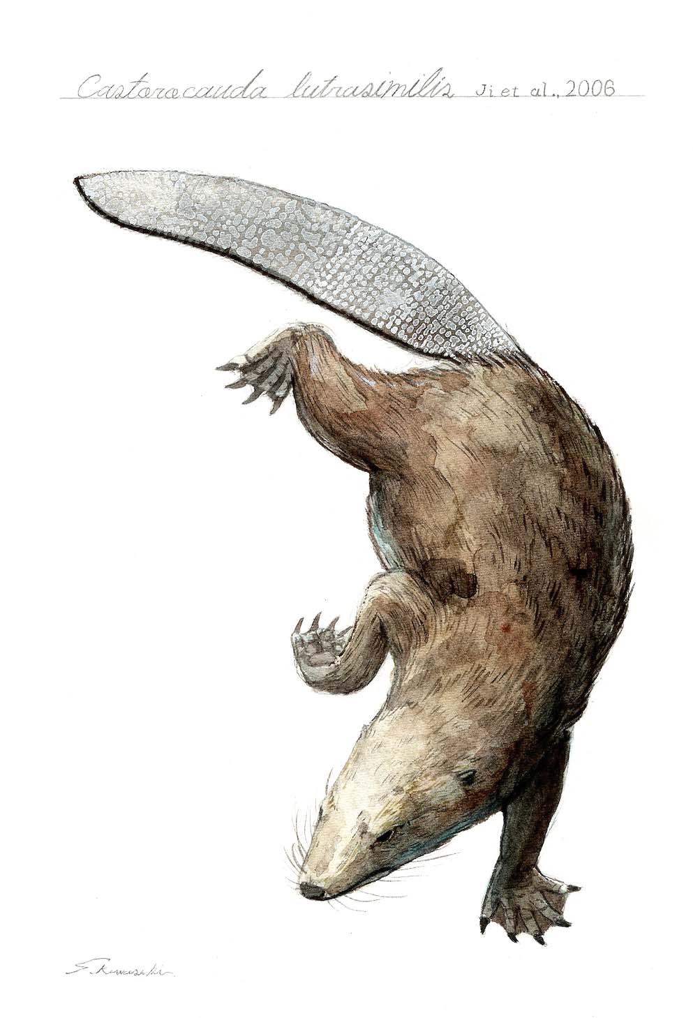 ジュラ紀の古生物 -1億9960万年前〜1億4550万年前-